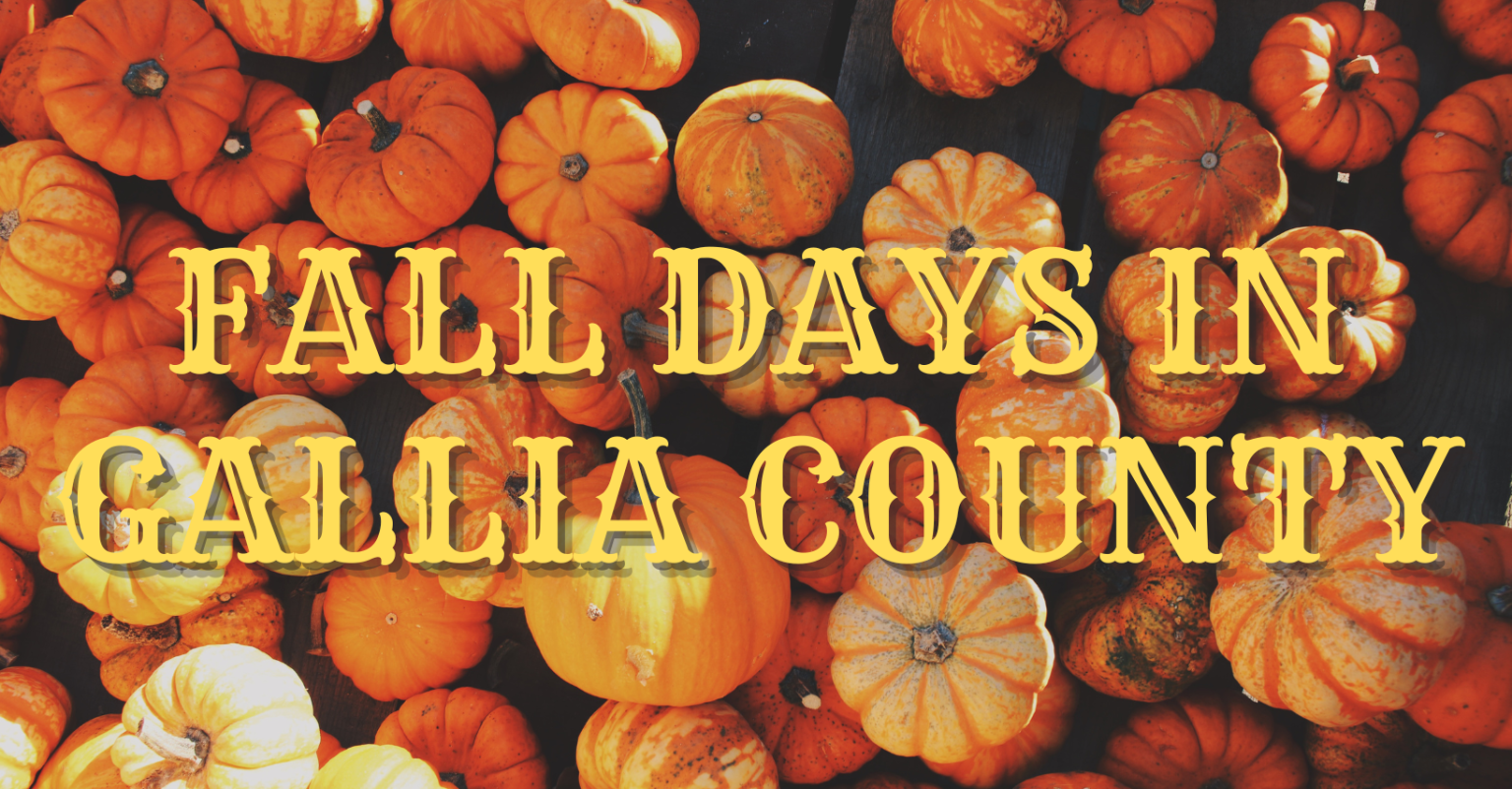 Gallia County Convention & Visitor's Bureau – Gallia County, Ohio